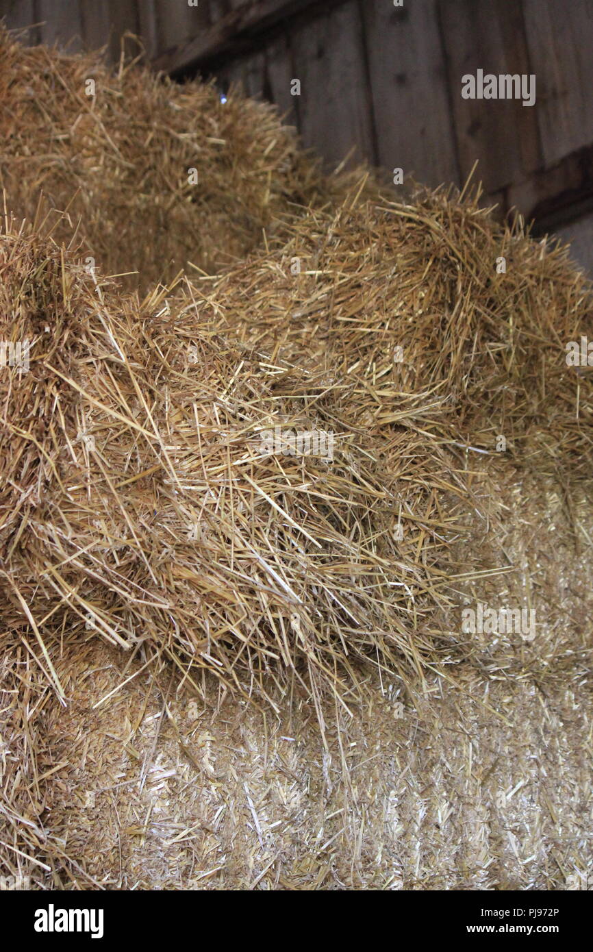 Piles of fresh hay stacked in the barn on a hot summer day Stock Photo ...