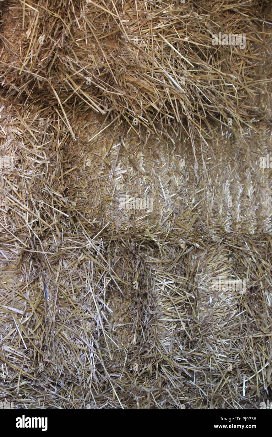 Piles of fresh hay stacked in the barn on a hot summer day Stock Photo ...
