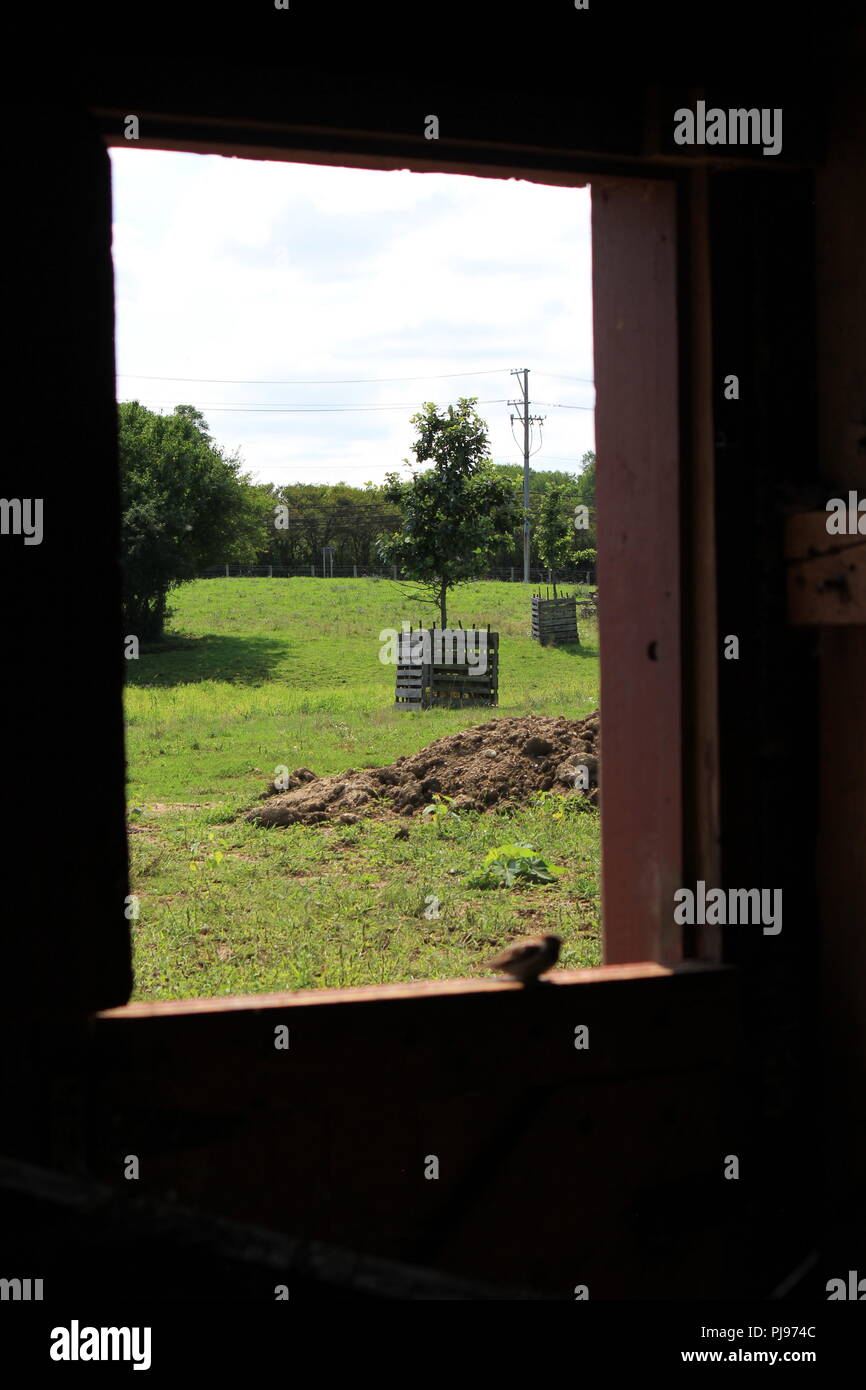 Scene of a barnyard pasture when viewed thru an open barn window Stock ...