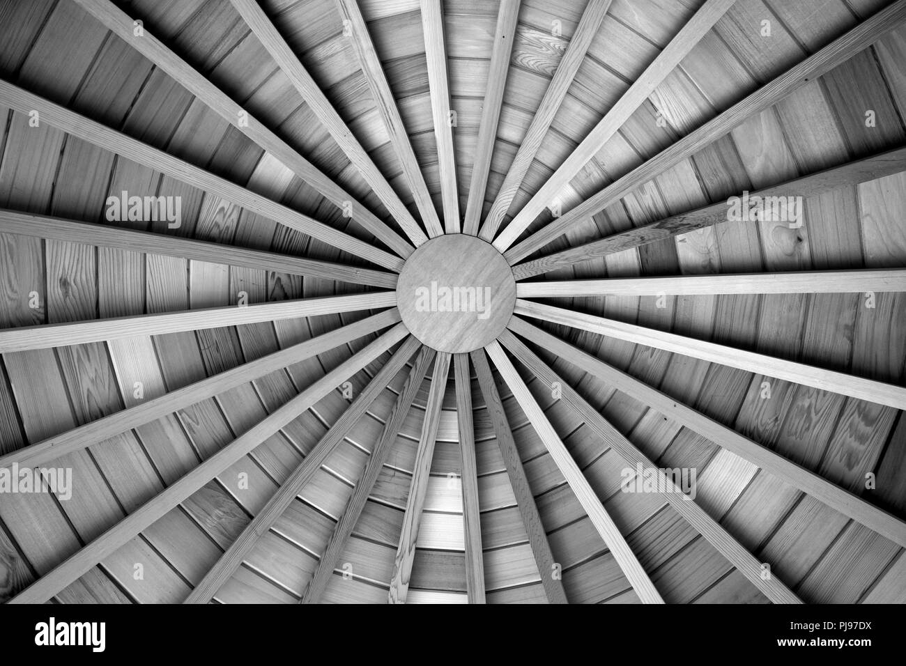 Abstract radial sunburst pattern Black and White Stock Photos & Images ...