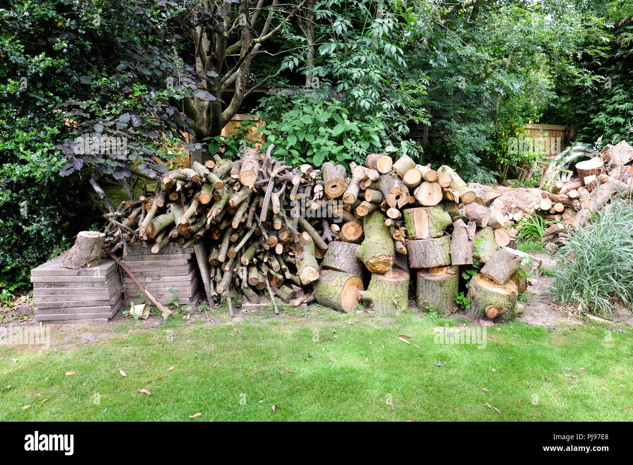 Log pile garden hi-res stock photography and images - Alamy