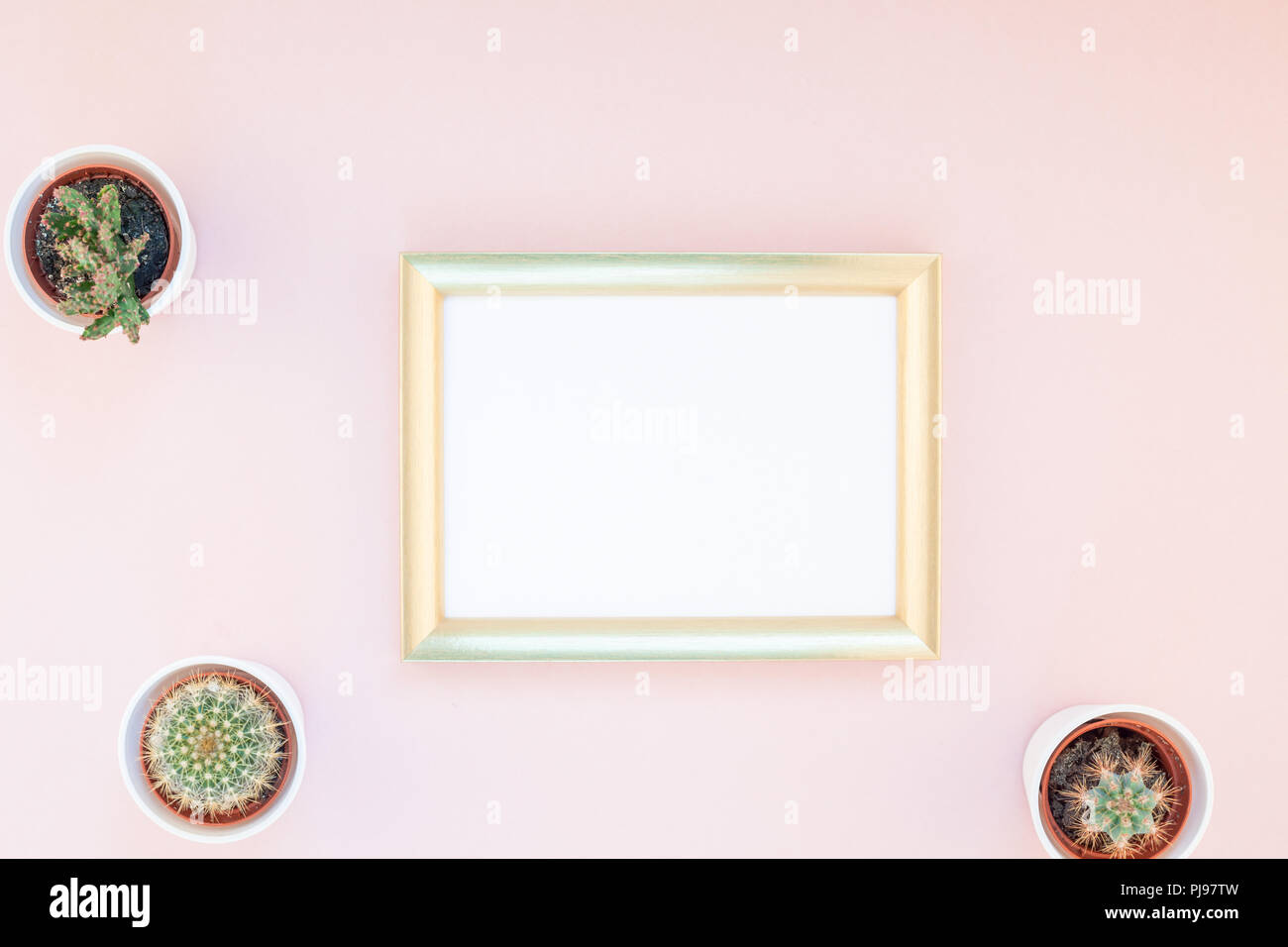 Creative flat lay overhead top view small pots with decorative cactuses ...