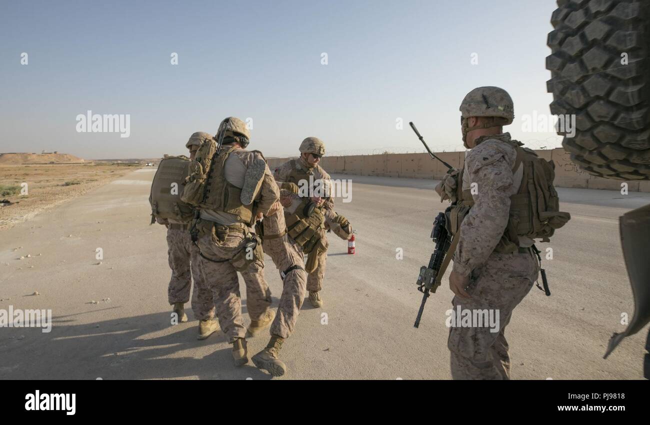 Task force lion hi-res stock photography and images - Alamy