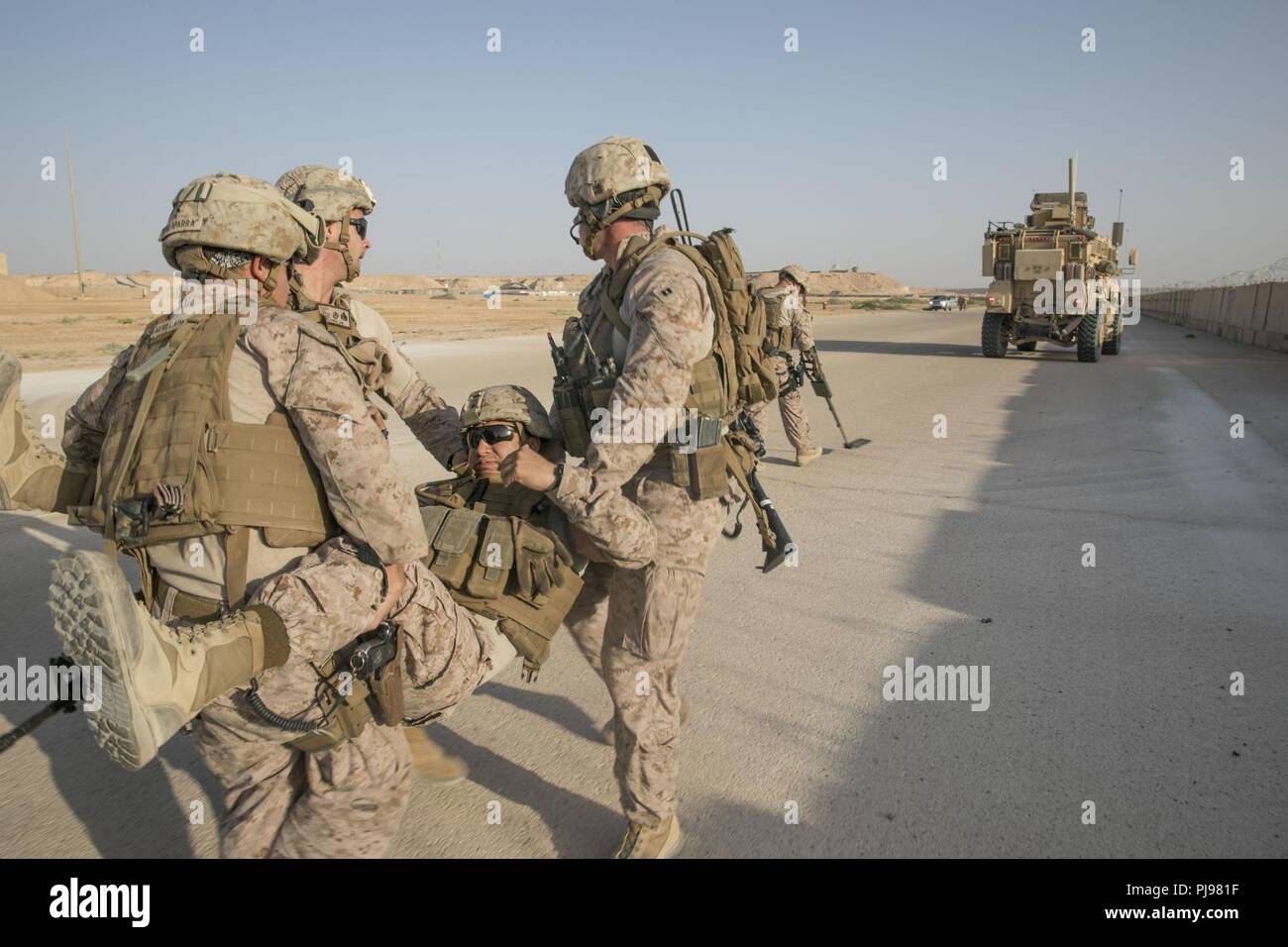 Task force lion hi-res stock photography and images - Alamy