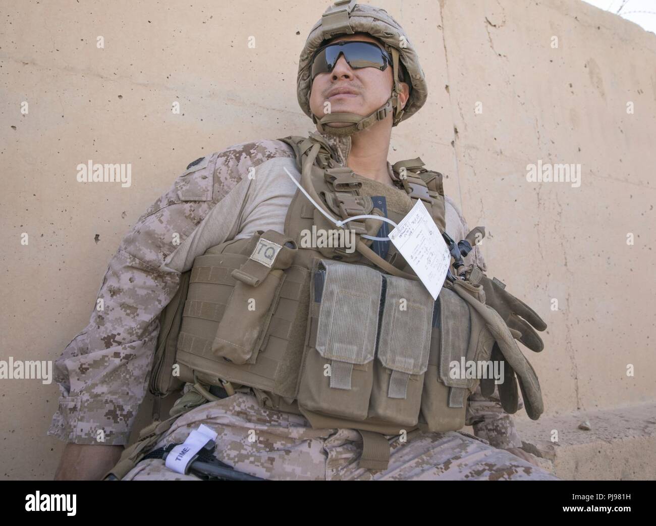 Task force lion hi-res stock photography and images - Alamy