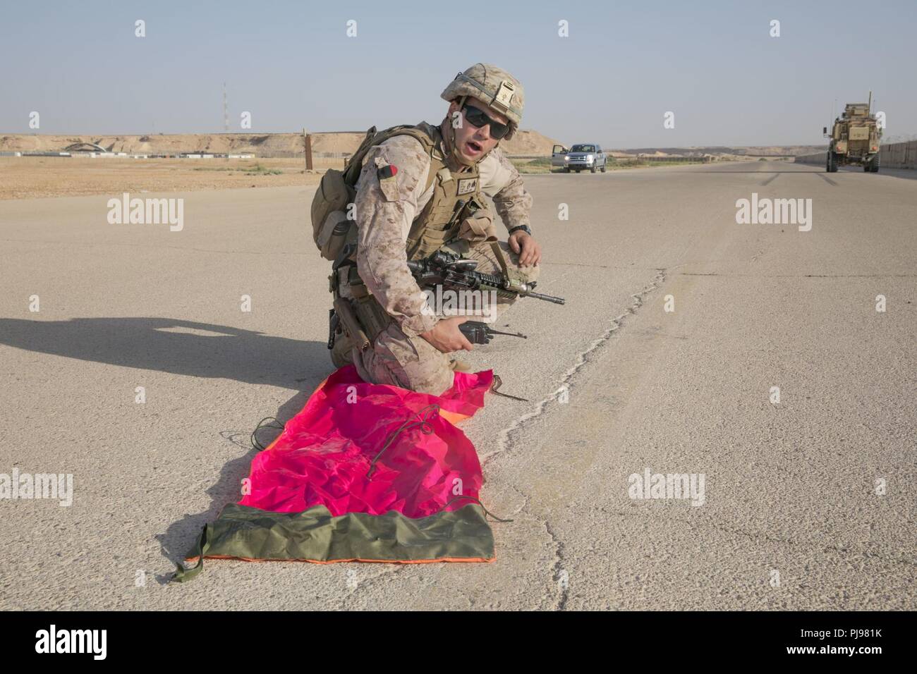 Task force lion hi-res stock photography and images - Alamy