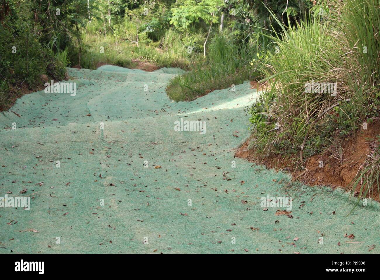 Members of the U.S. Army Corps of Engineers Task Force Puerto Rico ...