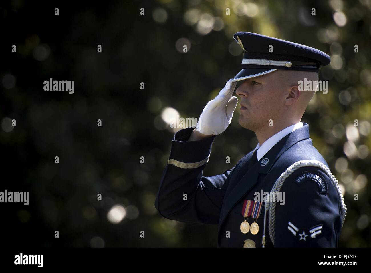 A U.S. Air Force Honor Guard ceremonial guardsman salutes Capt. Mark ...