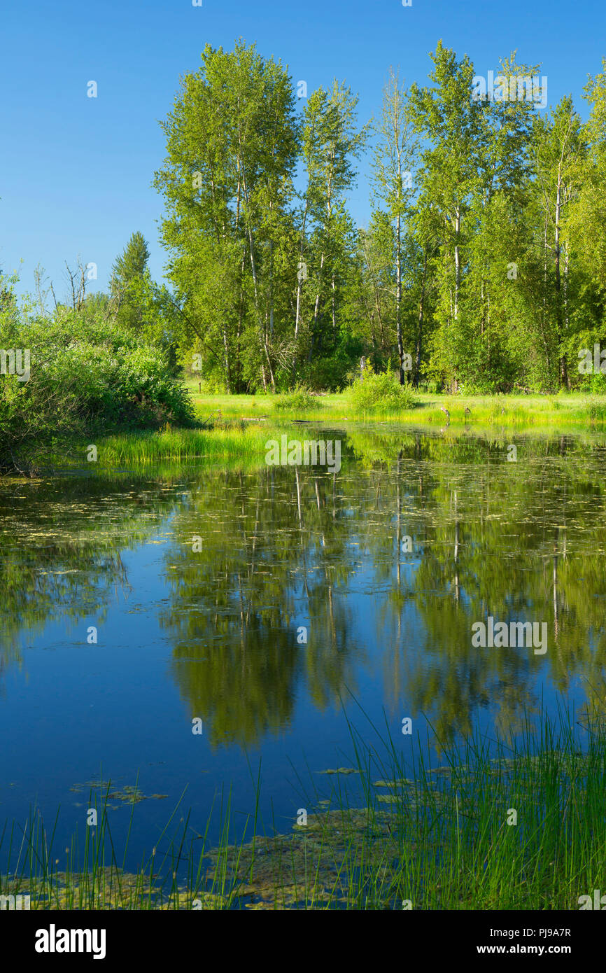 Freeway Pond High Resolution Stock Photography and Images - Alamy