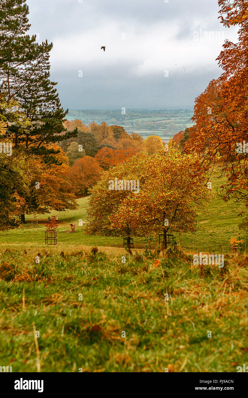 autumn, England countryside - beautiful autumn composition Stock Photo ...