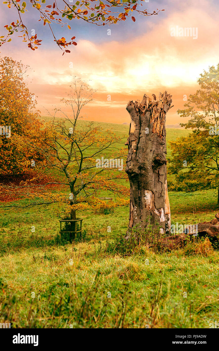 England countryside beautiful hi-res stock photography and images - Alamy