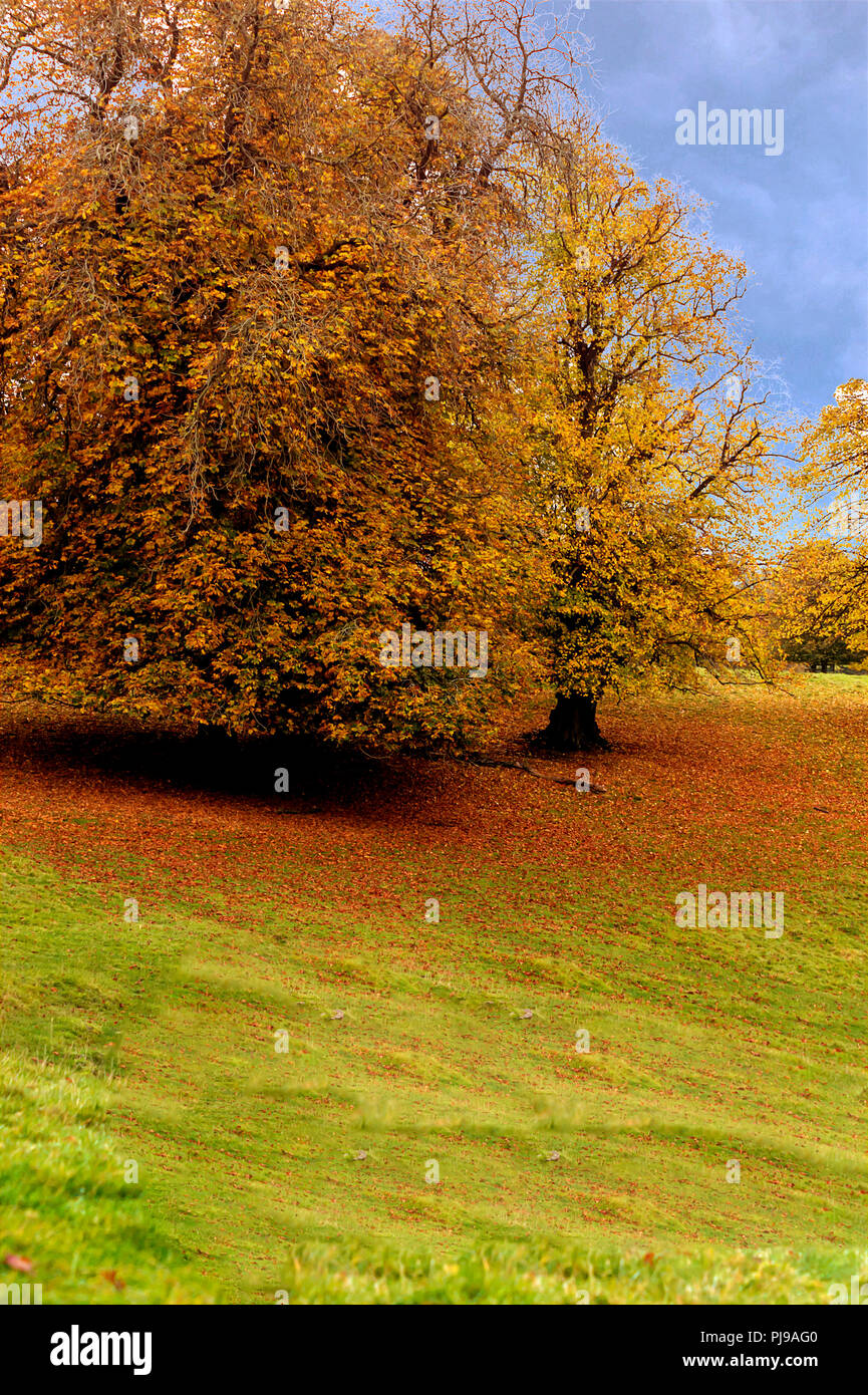 autumn, England countryside - beautiful autumn composition Stock Photo ...