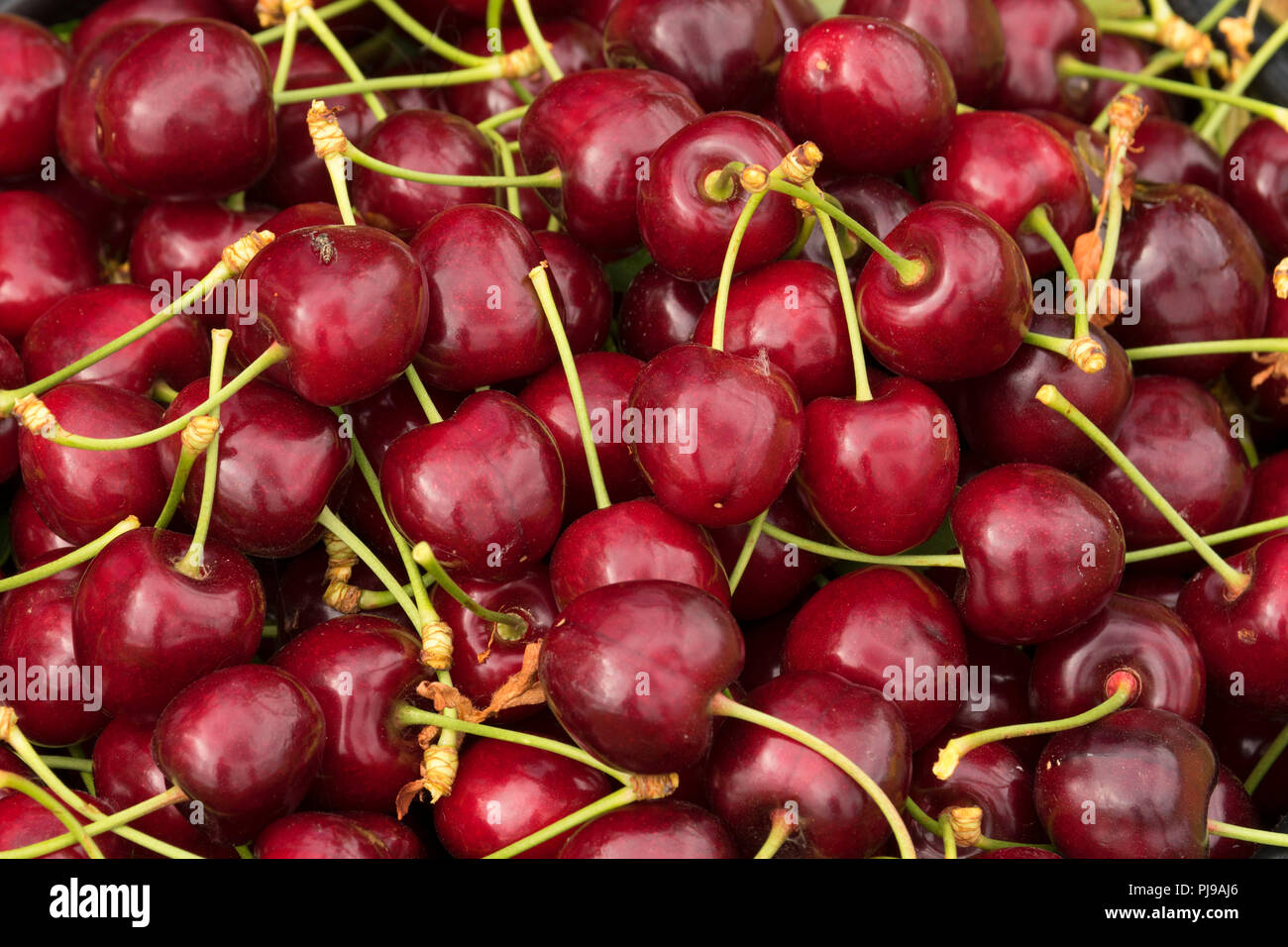 Benton cherries hi-res stock photography and images - Alamy