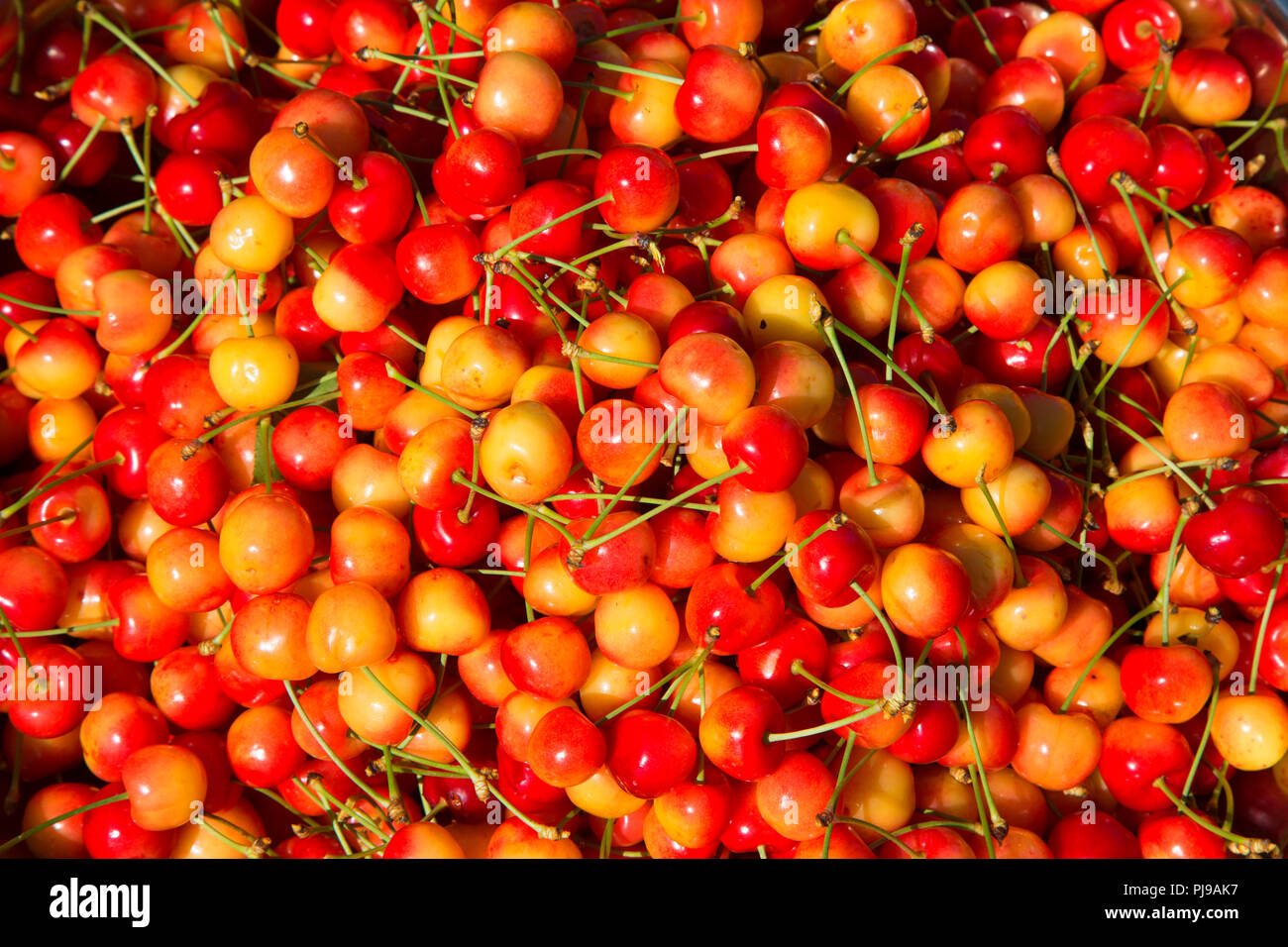 Valley of cherries hi-res stock photography and images - Alamy