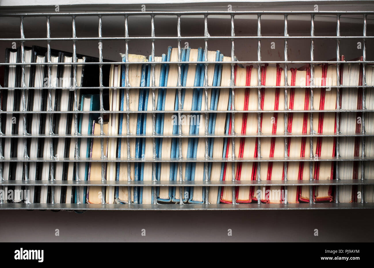 Books in cage. Freedom of press or freedom of thought concept Stock ...