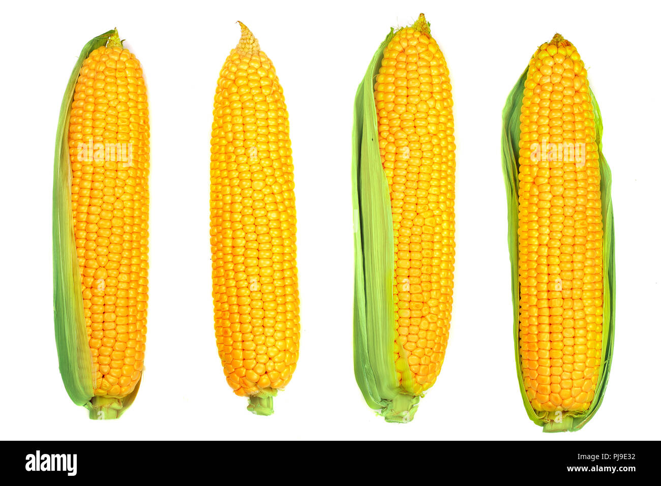 ear of corn isolated on a white background. Top view. Set or collection ...