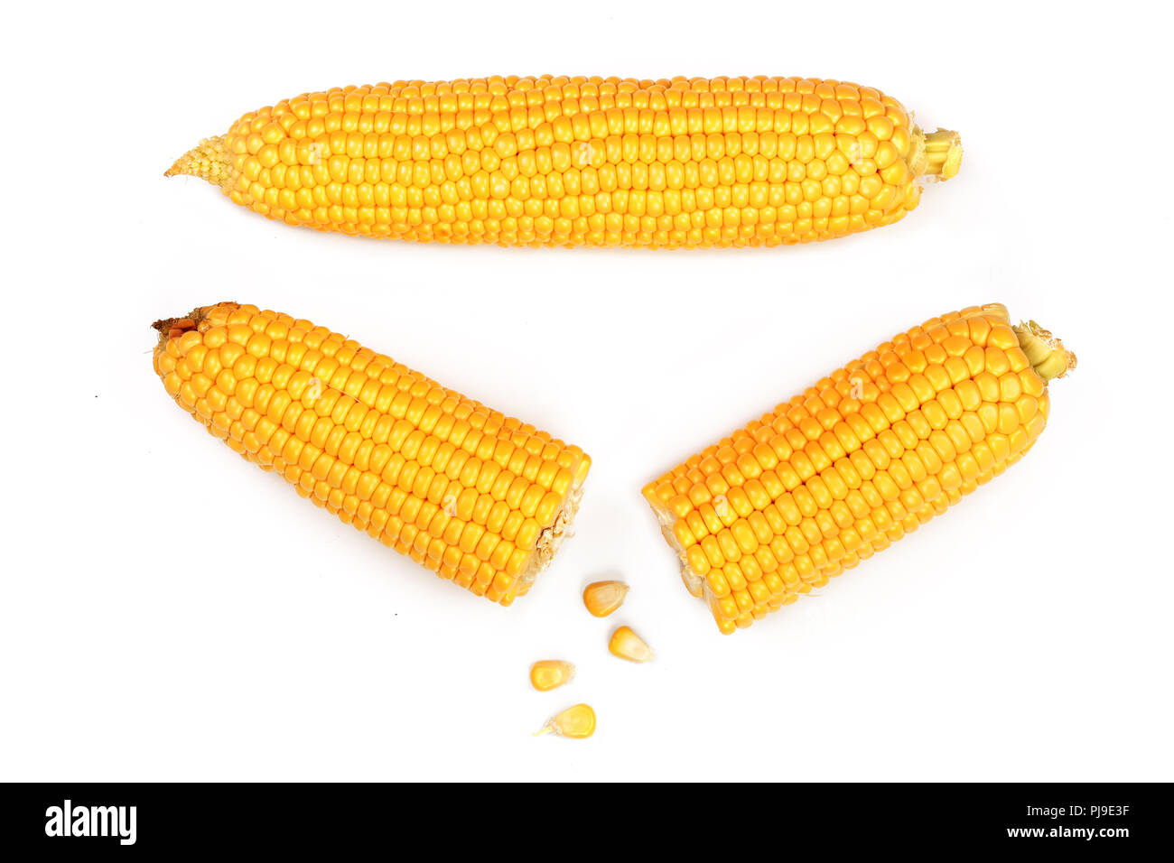 ear of corn isolated on a white background. Top view Stock Photo - Alamy
