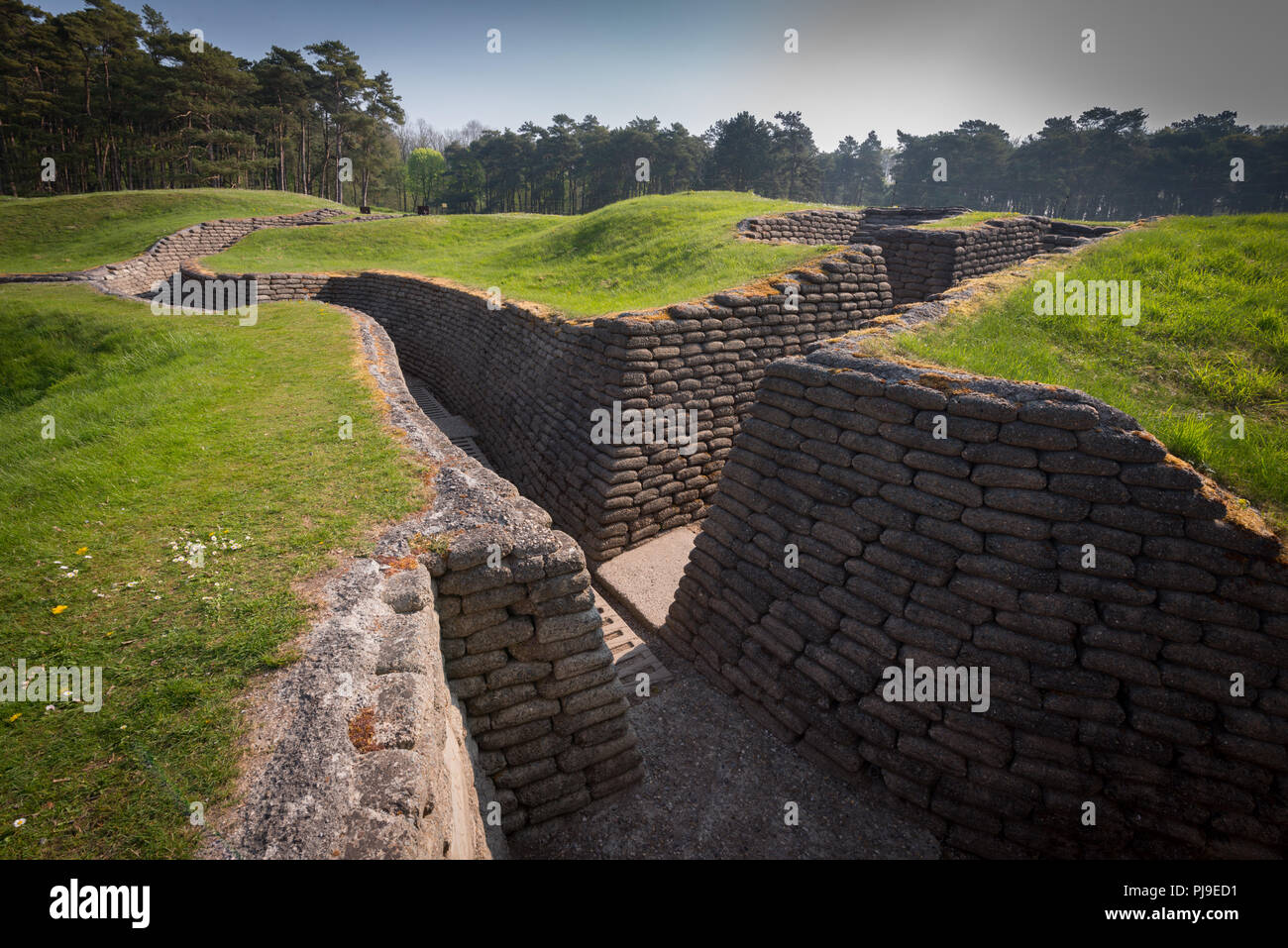 Preserved world war one trenches hi-res stock photography and images ...