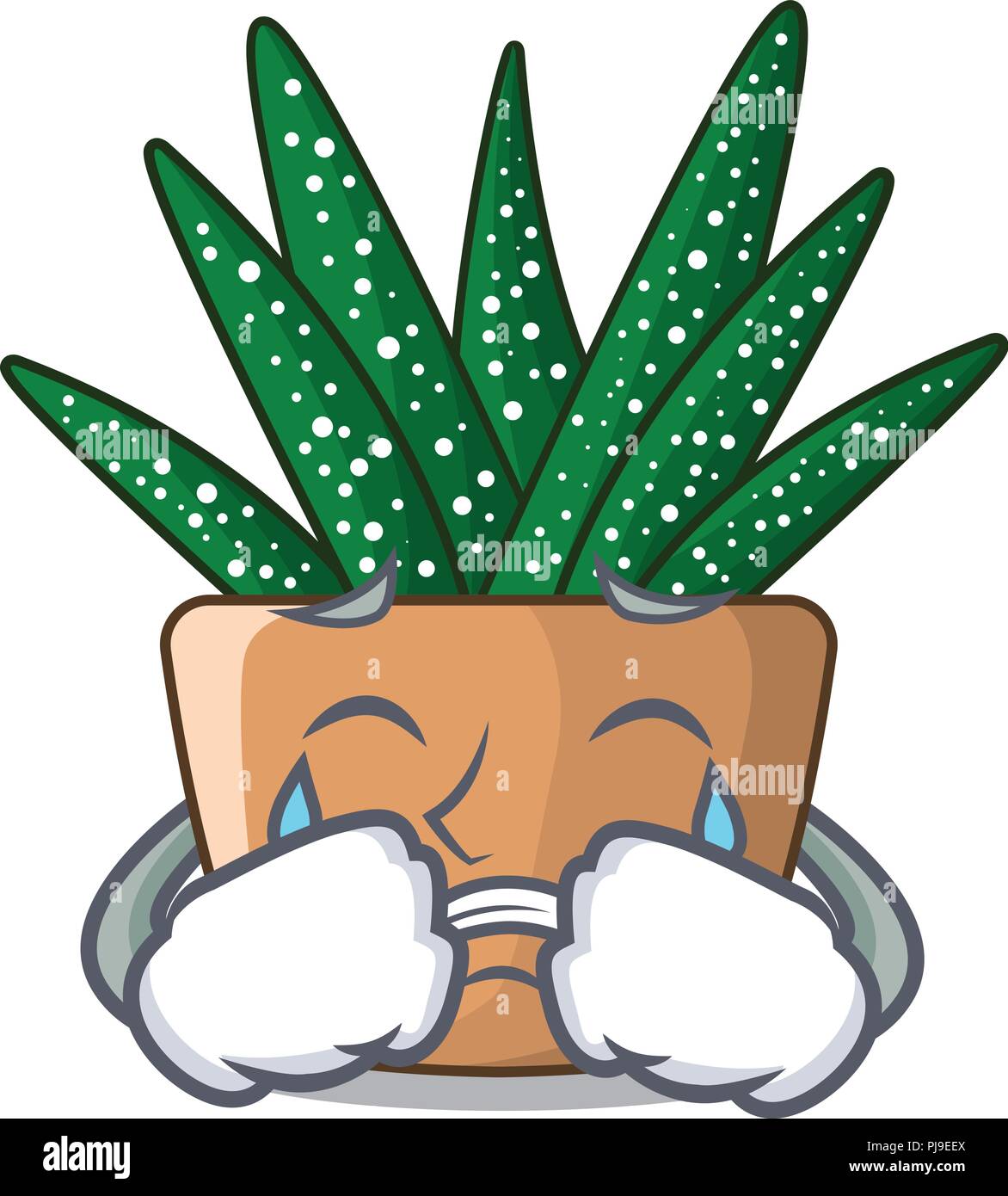 Cactus crying hi-res stock photography and images - Alamy