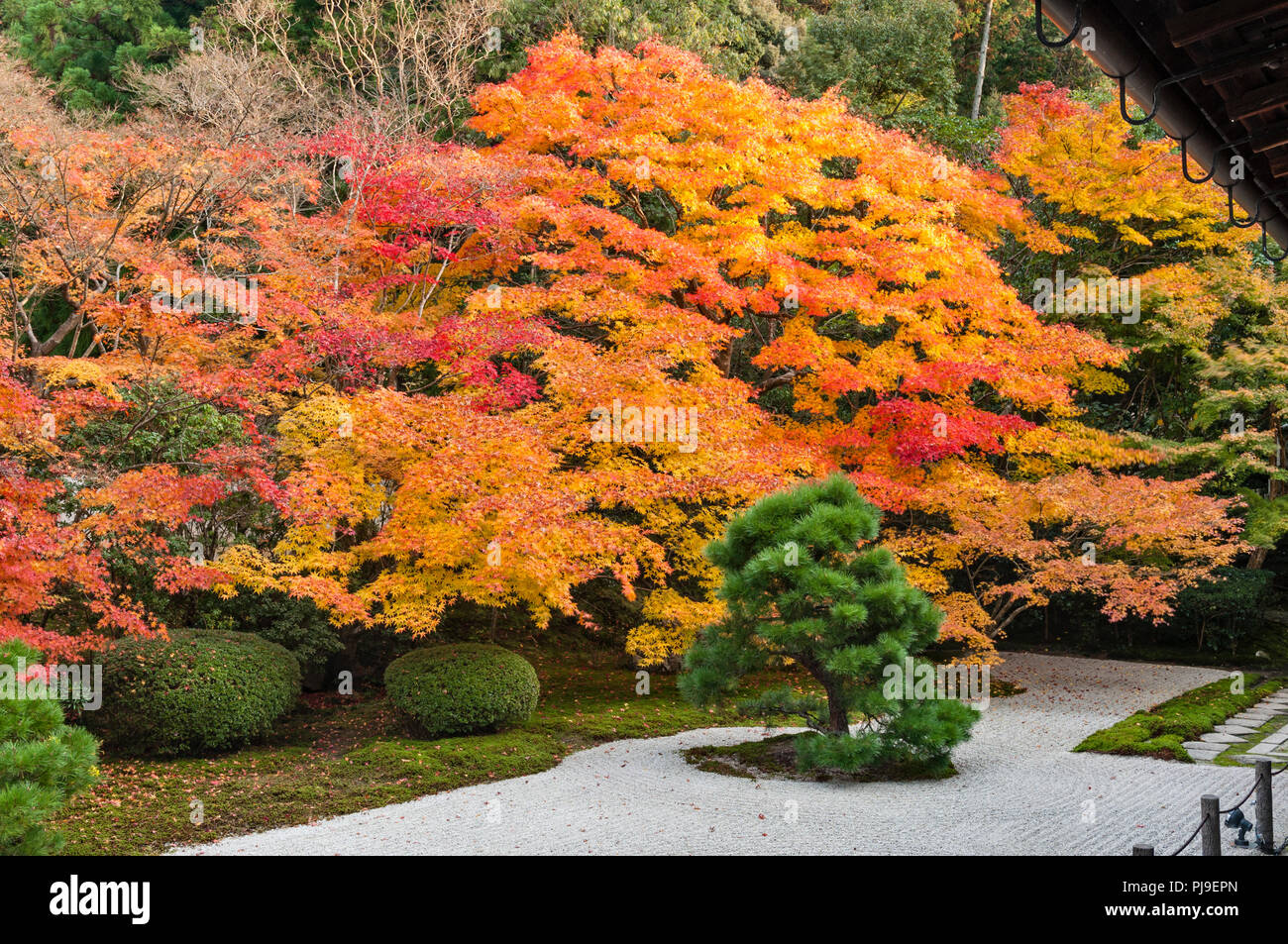 The Nanzen-ji temple complex, Kyoto, Japan. Brightly coloured autumn ...