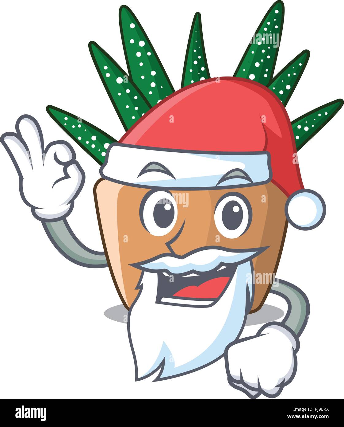 Zebra plant succulent Cut Out Stock Images & Pictures - Alamy