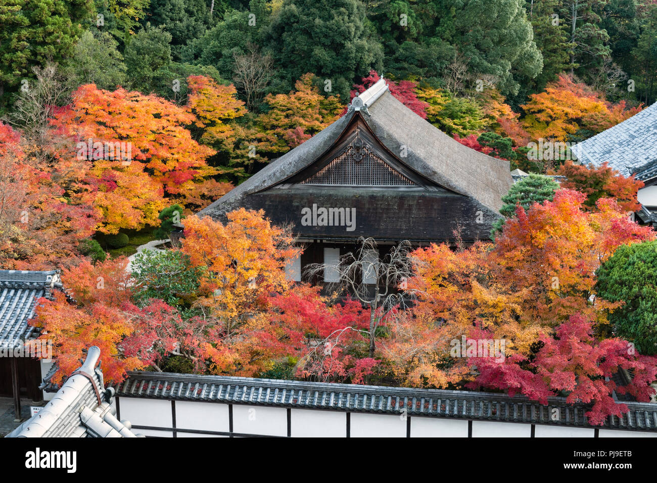 The Nanzen-ji temple complex, Kyoto, Japan. Brightly coloured autumn ...