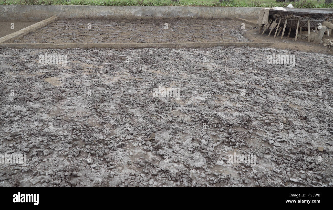Production of sea salt in the Bali,Indonesia. Salt crystallizes out of ...