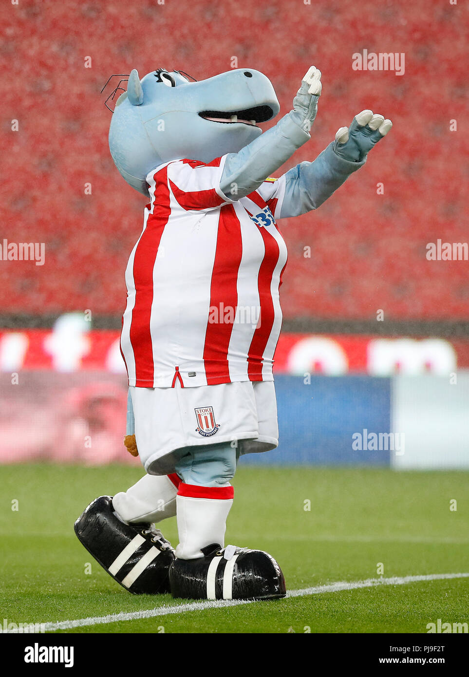Stoke City mascot Pottermus Hippo Stock Photo - Alamy