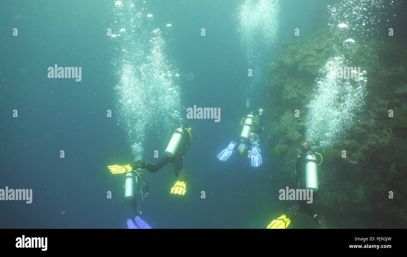 Scuba divers explores underwater coral reef and watching the fish.Scuba ...