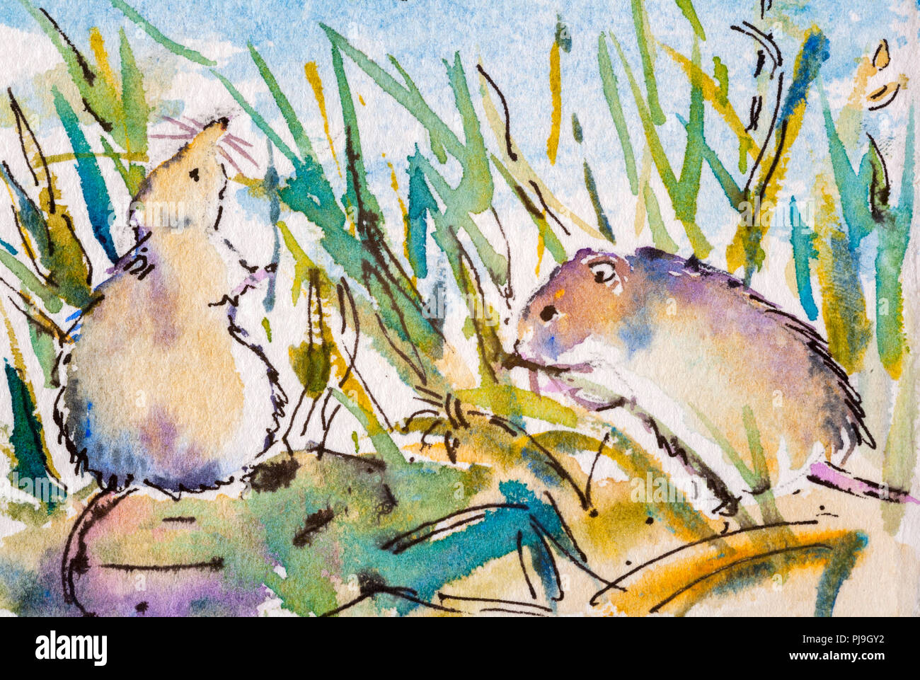 Field mice hi-res stock photography and images - Alamy