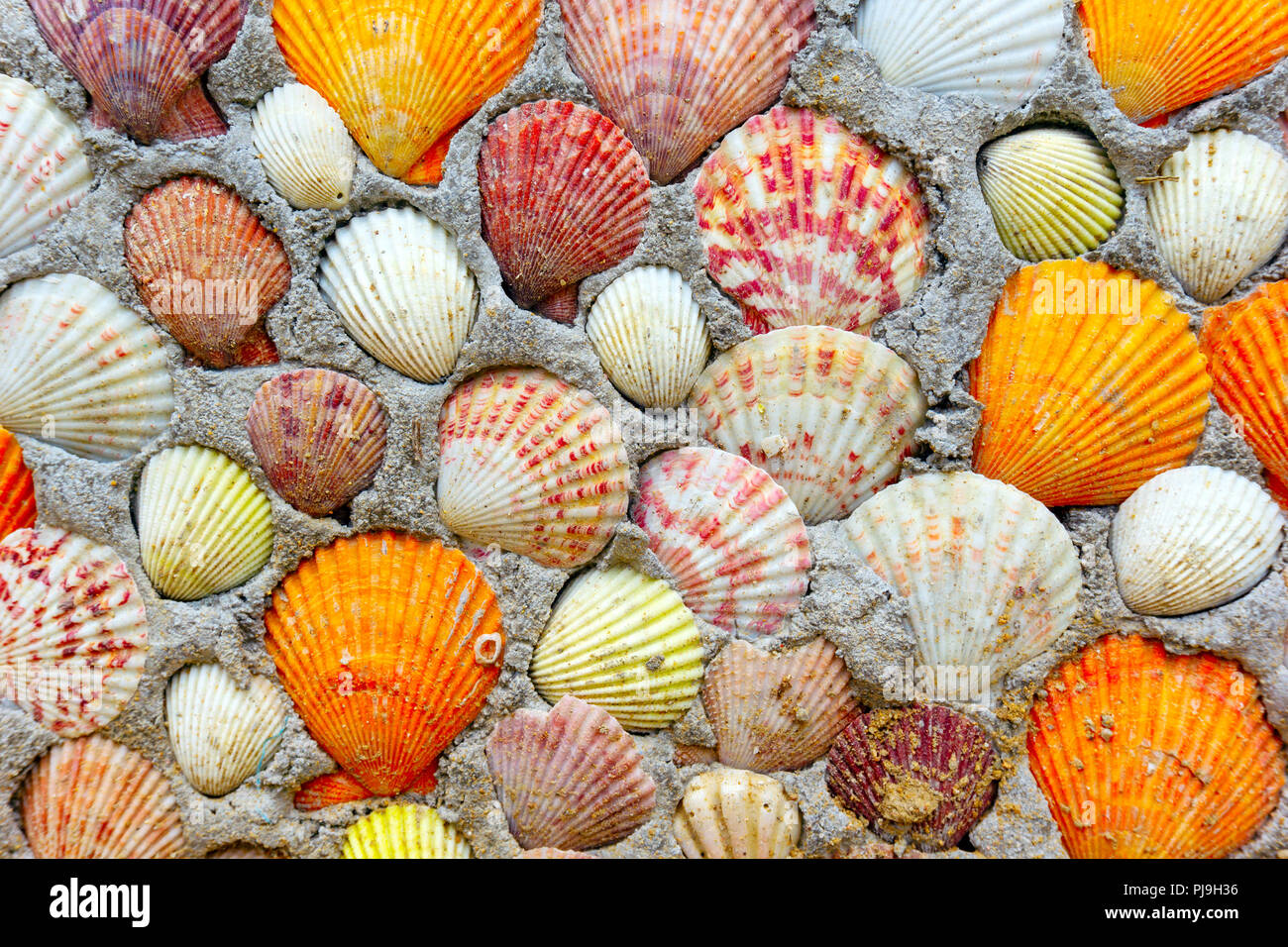 Colorful shells are set on the wall, background texture material Stock ...