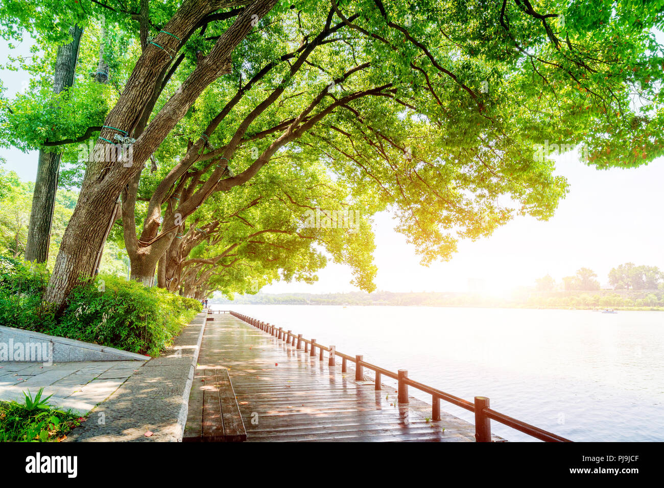 Plank road hi-res stock photography and images - Alamy
