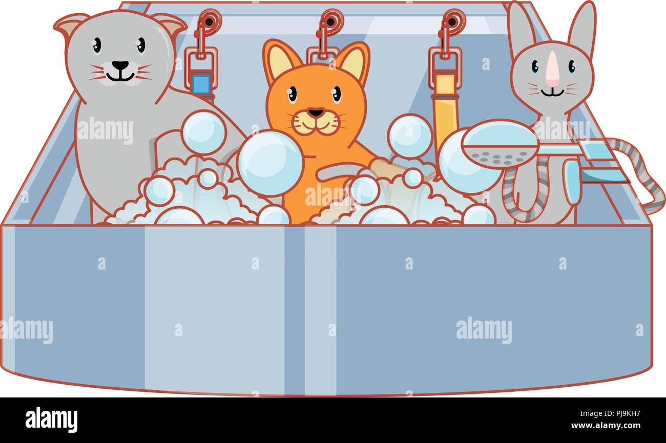 cute cats taking a bath over white background, vector illustration ...