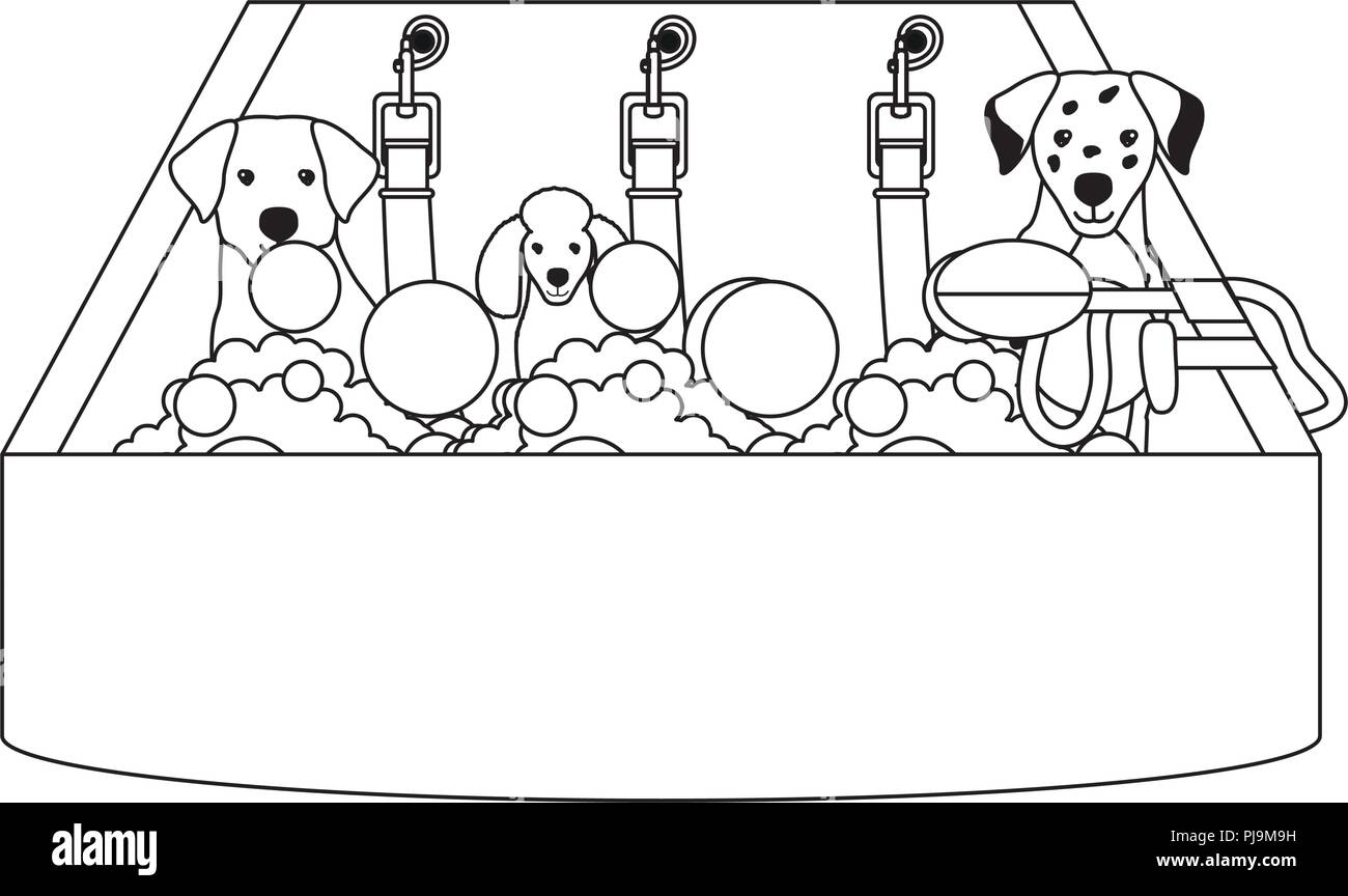 cute dogs taking a bath over white background, vector illustration ...