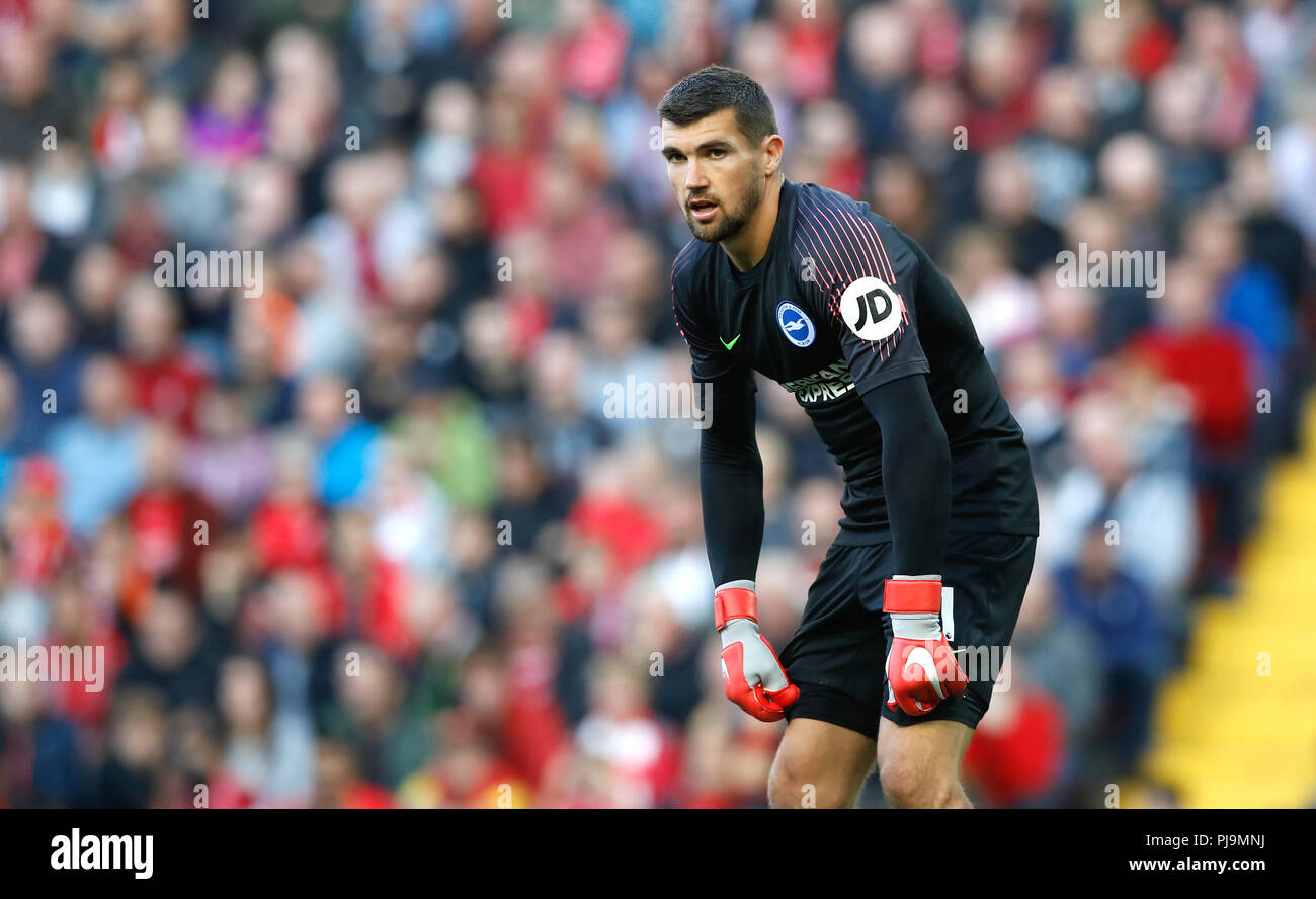 Brighton & Hove Albion goalkeeper Mathew Ryan Stock Photo - Alamy