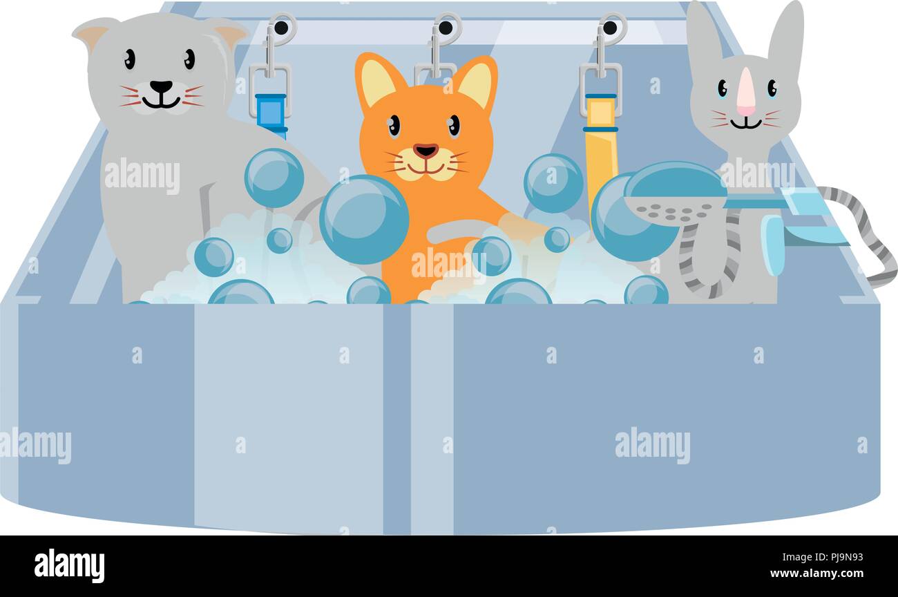 cute cats taking a bath over white background, vector illustration ...