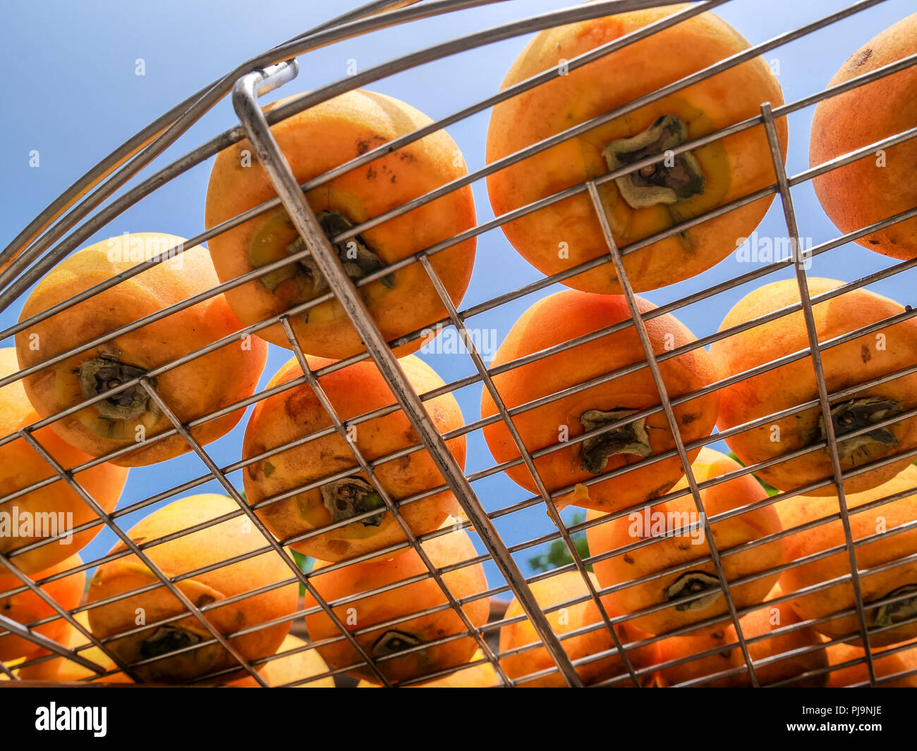 Sun Persimmon, the traditional dried fruit in Taiwan Stock Photo - Alamy