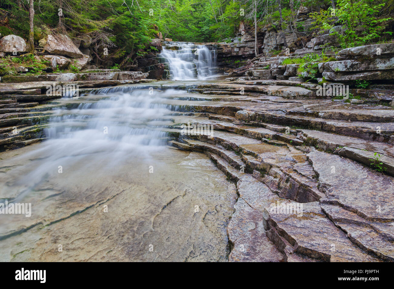 Bemis brook trail hi-res stock photography and images - Alamy