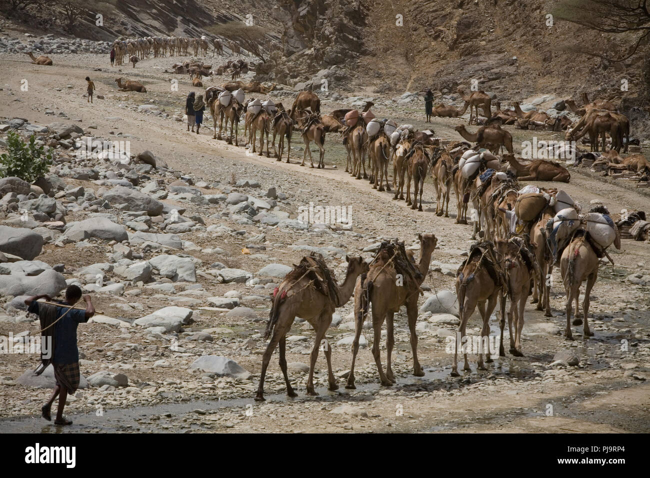 Ancient caravan merchants hi-res stock photography and images - Alamy