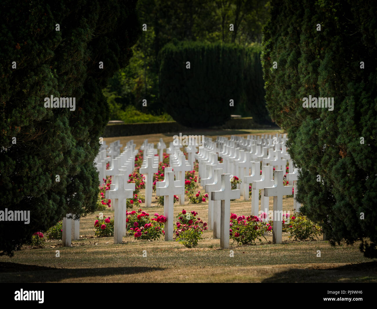 Cemetery outside of the Douaumont ossuary near Verdun France. Memorial ...