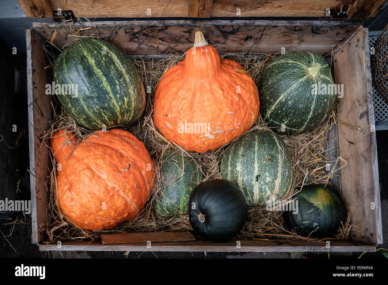 Stripes of many colors hi-res stock photography and images - Alamy