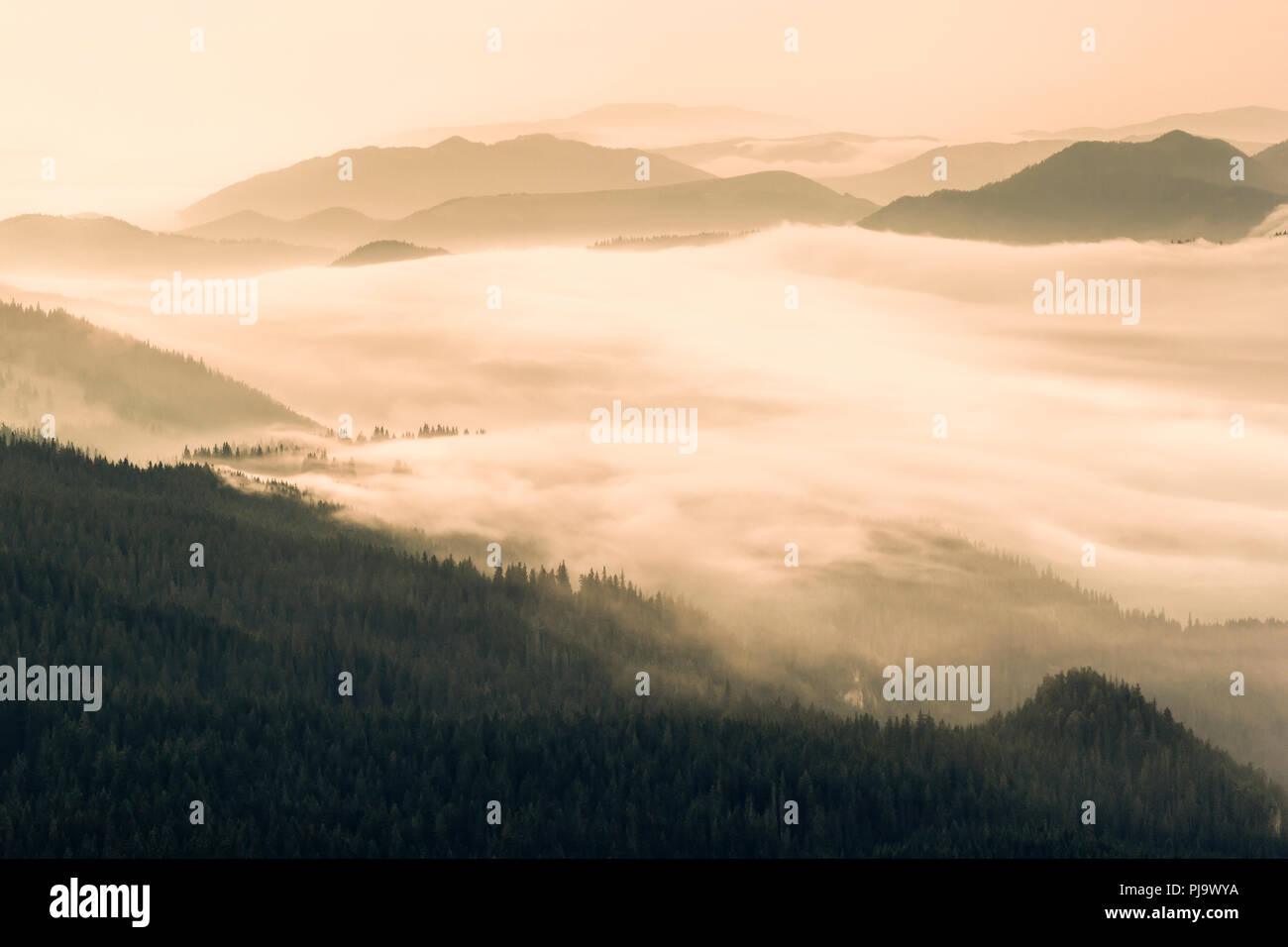 Outdoor fog valleys hi-res stock photography and images - Alamy