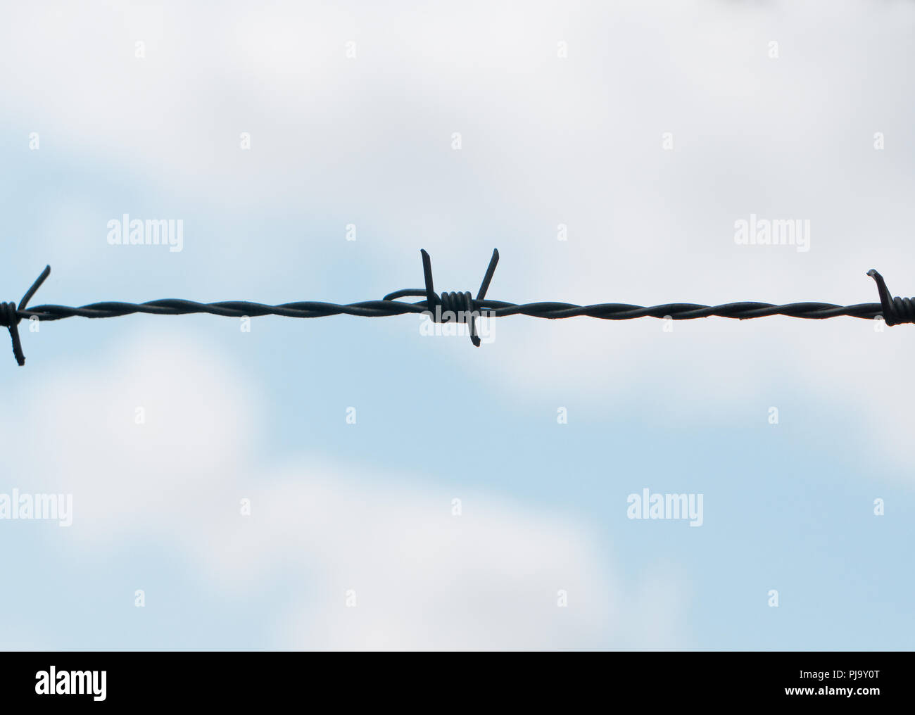 Strand of barbed wire hi-res stock photography and images - Alamy