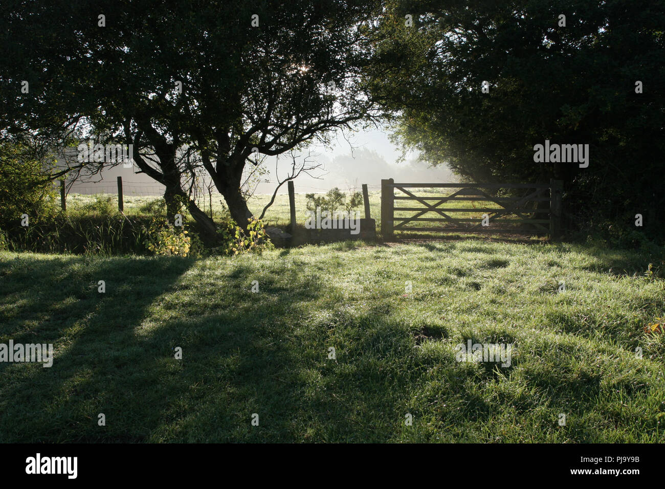 An early morning scene at Llanrhidian on the Gower peninsula, Swansea ...