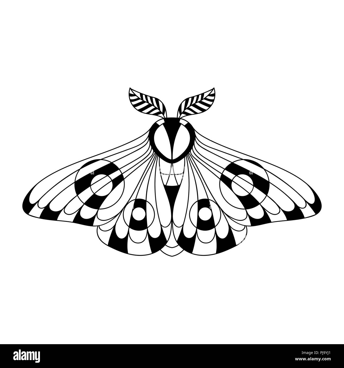 Night moth in ethnic style. Vector illustration of a butterfly on a ...
