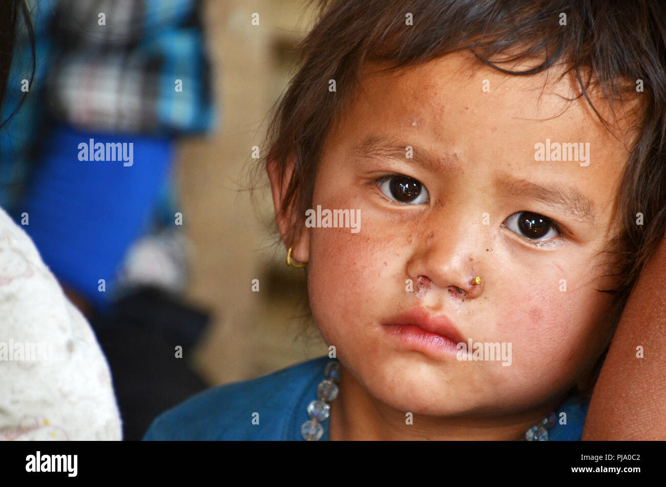 A young Dalit (untouchable) girl in the village of Tamakhani ...