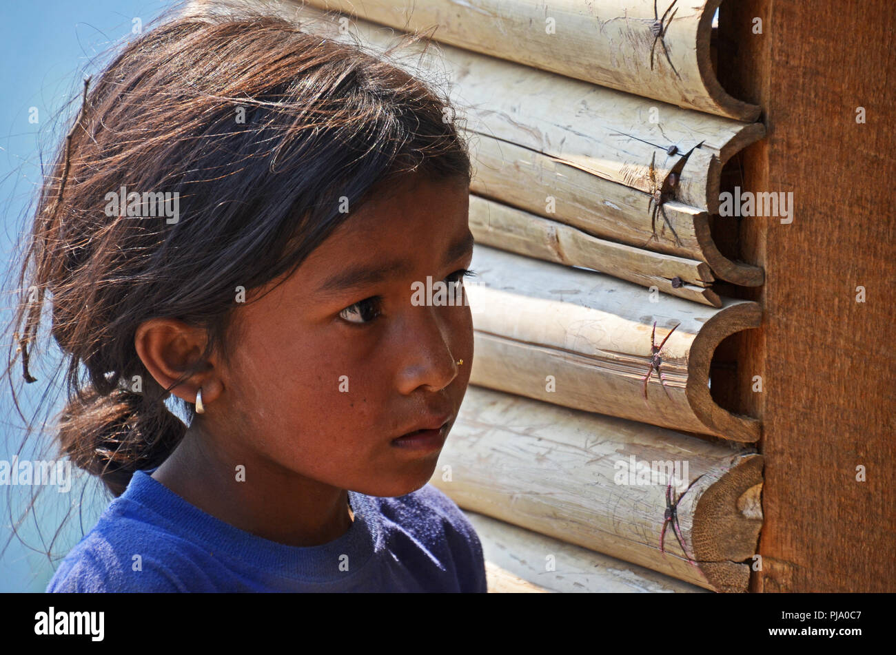 A Dalit (untouchable) girl in the village of Tamakhani, Solukhumbu ...