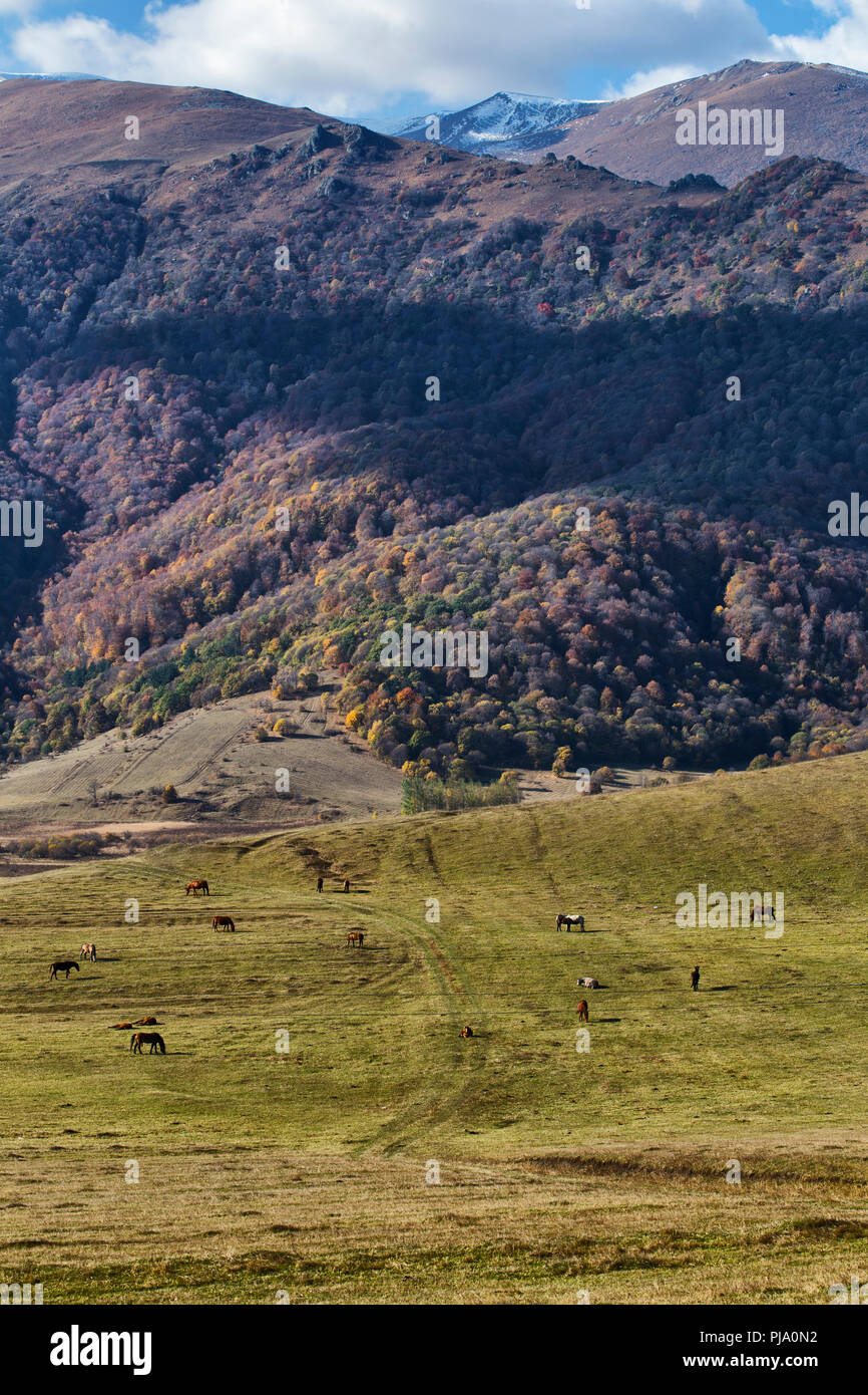 Vanadzor hi-res stock photography and images - Alamy