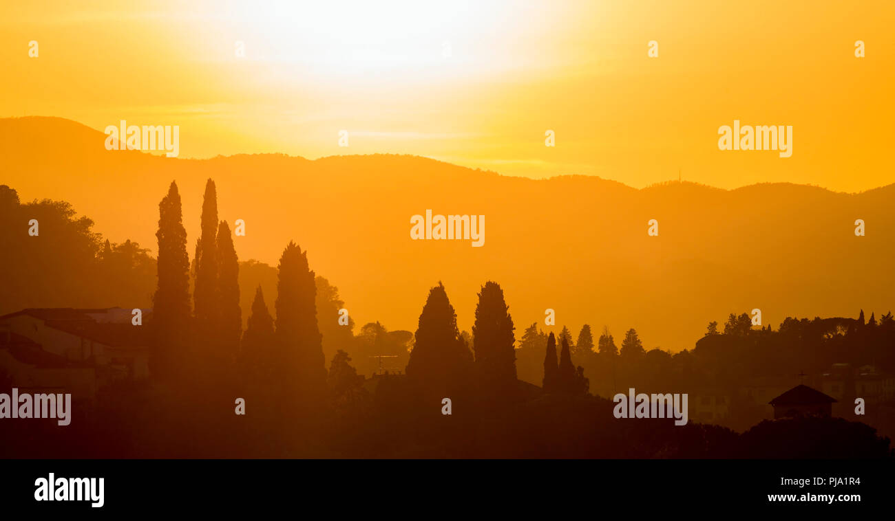 Panorama with Cypress Trees in backlight at sunset Stock Photo - Alamy