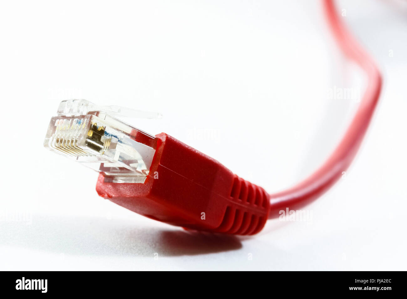 Connector wire rj45 for internet Stock Photo - Alamy